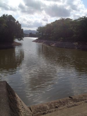 日中の立岡池に行って来ました！ : 熊本のバスを釣ろう
