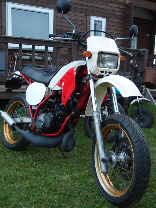 DT200R(37F)スーパーバイカーズ・その6 : Paint & Custom "airplants"