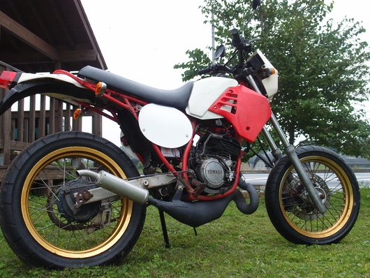 DT200R(37F)スーパーバイカーズ・その6 : Paint & Custom "airplants"