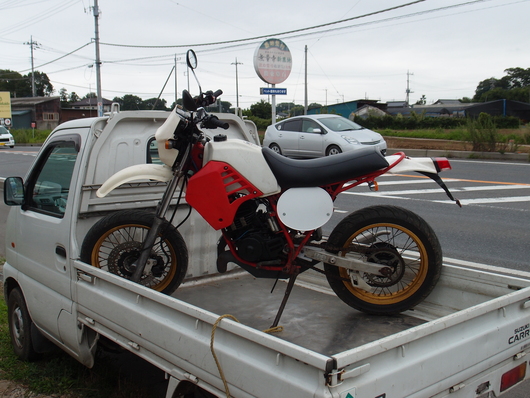 DT200R(37F)スーパーバイカーズ・その6 : Paint & Custom "airplants"