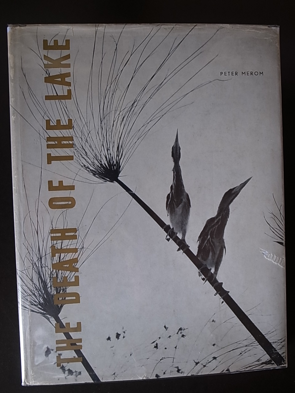 THE DEATH OF THE LAKE / Peter Merom : Books & Things