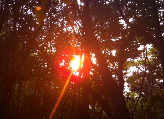 早朝登山 可也山 2013.08.16 : コヨーテの山日記