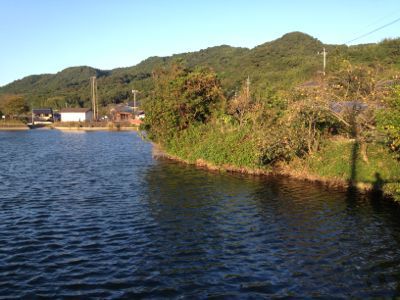 小川の公園池釣行 : 熊本のバスを釣ろう