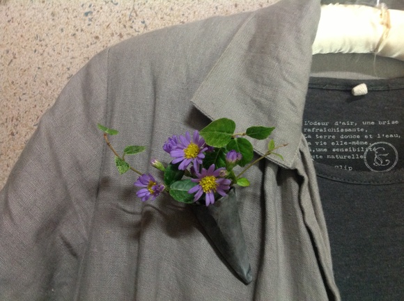 シオンとノギク・・・9月28日 : 野の花暮らし