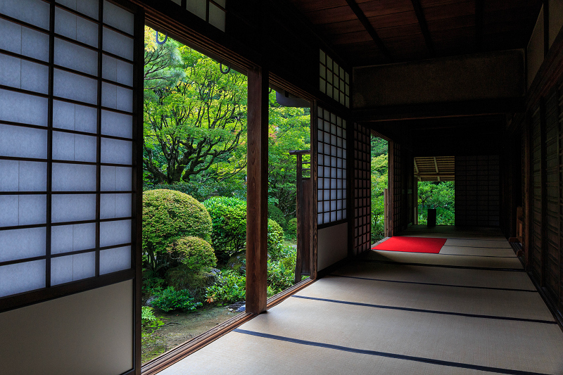 高桐院・初秋 : 花景色－K.W.C. PhotoBlog