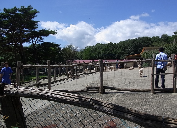 那須 南ヶ丘牧場と宇都宮ぎょうざ : ずっとそばに