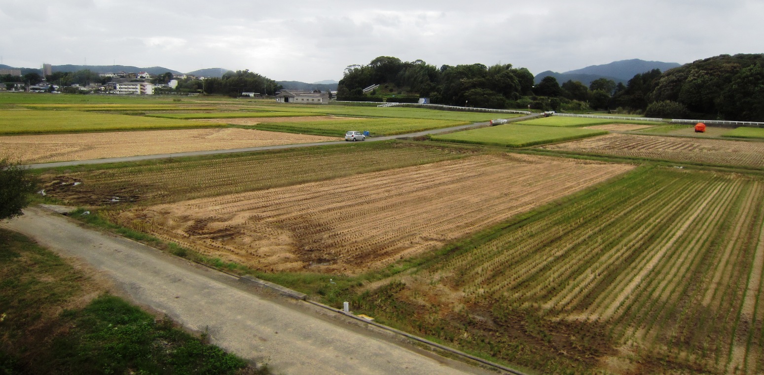 2263)③「帰札（九州帰省旅行）」 : 栄通記