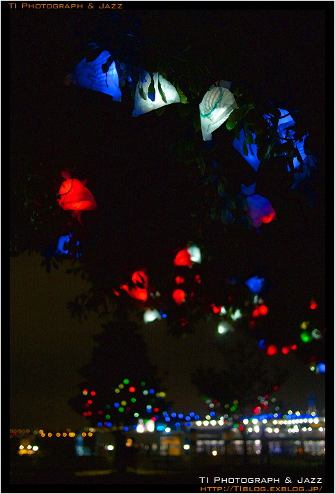 スマートイルミネーション横浜 Part 3 ライティングいろいろ : TI Photograph & Jazz