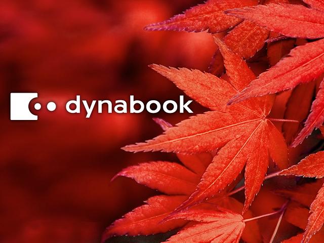 Dynabook Wallpaper : 東芝パソコン昔懐かしの壁紙コレクション