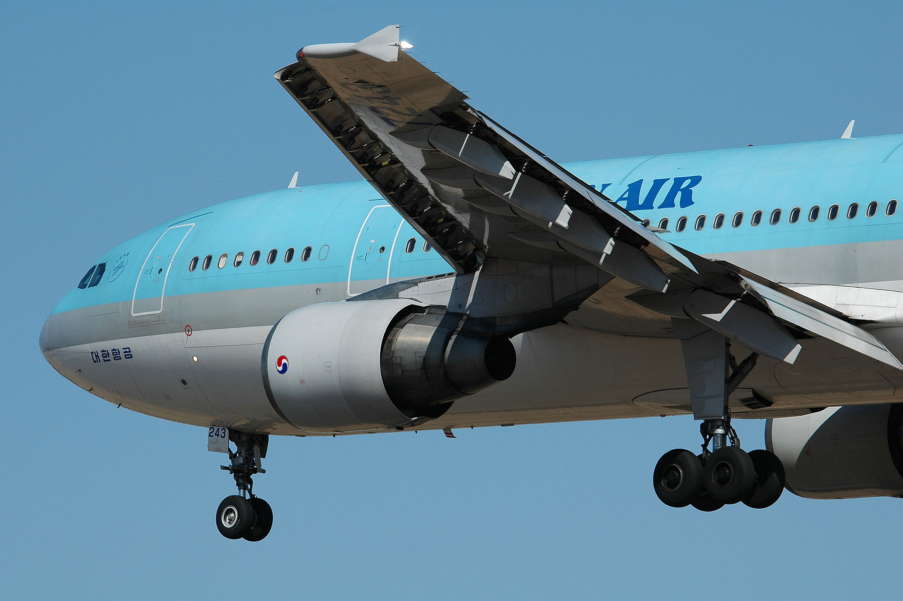 AIRBUS A300-600R / HL7243 : SKY LOUNGE GARDEN -transporter side-