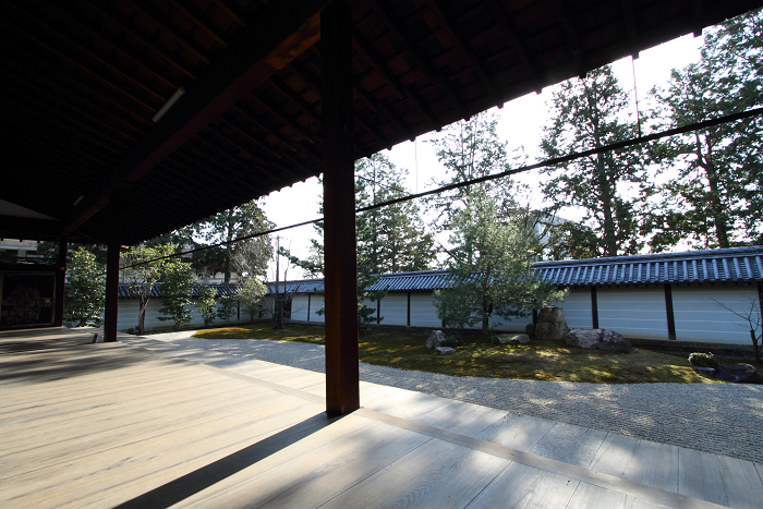 冬の妙心寺 －龍泉菴－ : MEMORY OF KYOTOLIFE