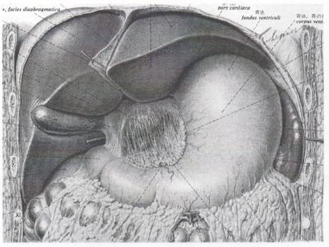 医学の進歩 : ラダー型オーディオケーブル製作日記