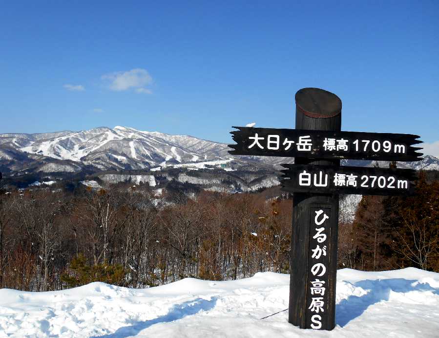 プラリ五ヶ山へ 1．19 : 写録番外編