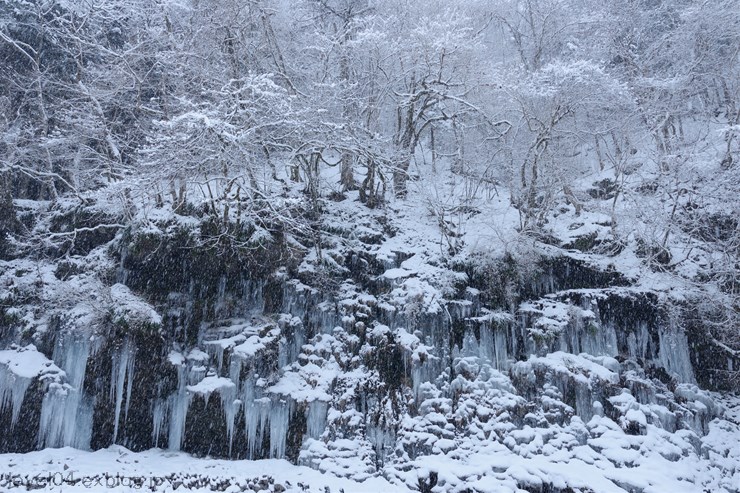 8 Incredible Snow Scenes in Japan | All About Japan