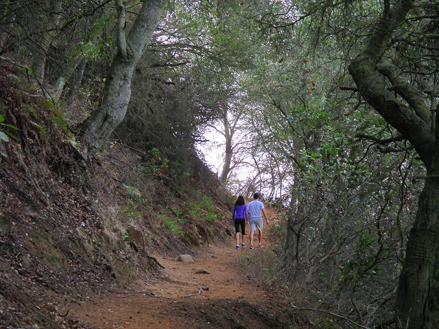 森林浴から展望まで楽しめるトレイル Cold Spring Trail to Montecito Peak near Santa ...