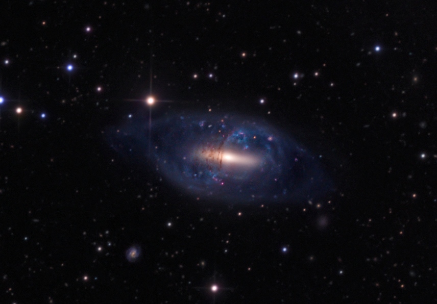 おおぐま座の美しいポーラーリングを持つ極リング銀河NGC2685 : 秘密の世界 [The Secret World]