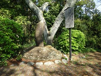 東海道（24）金谷宿～掛川宿01 下見・小夜の中山 : TEIONE BLOG - 平山 貞一