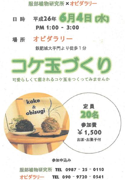 コケコラボ : オビダラ日記～飫肥杉ダラケのまちづくり～