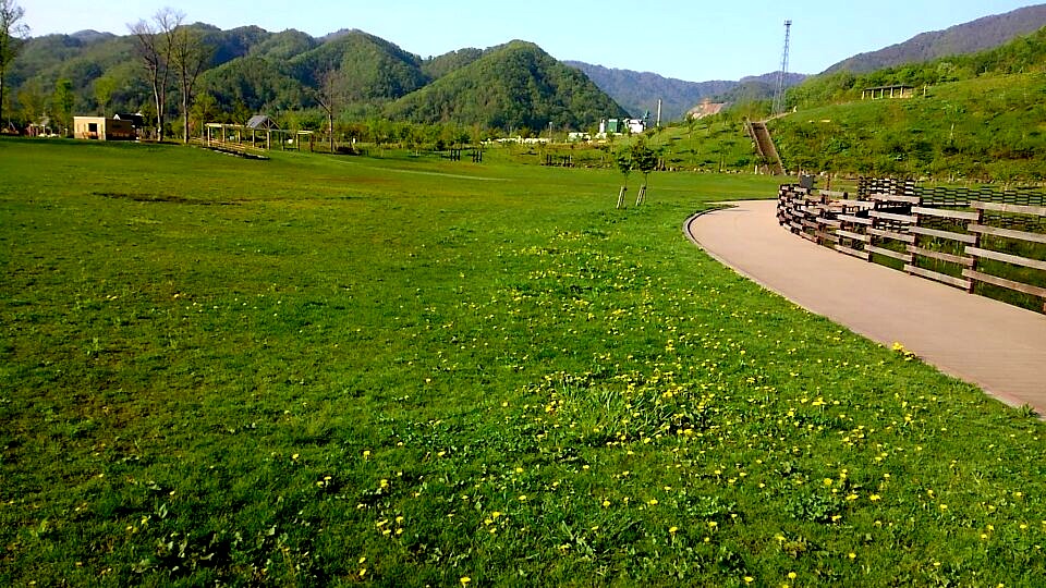 159、 タンポポのうたとタンポポ考 : 五十嵐靖之 趣味の写真と短歌