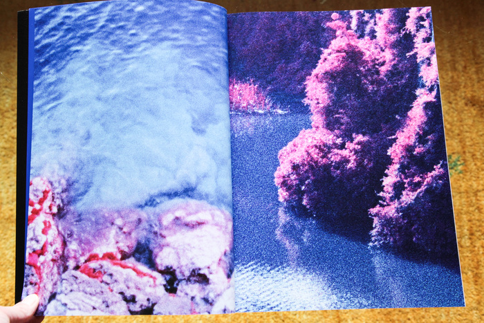 Richard Mosse 「The Enclave」 : roshinbooks.blog