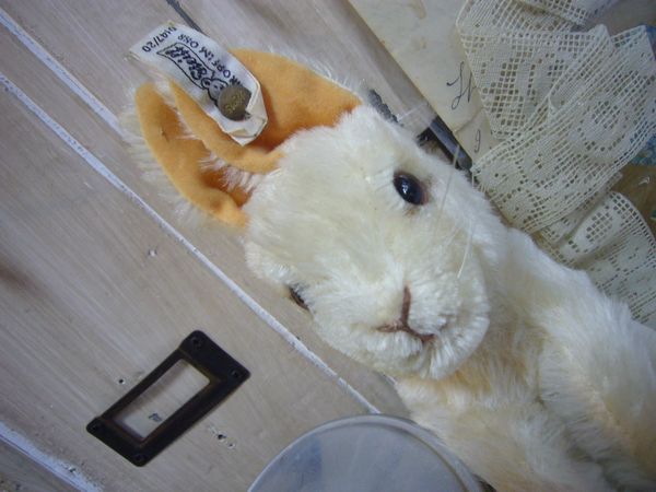 さいたまスーパーアリーナ骨董アンティークフェア : mintの森