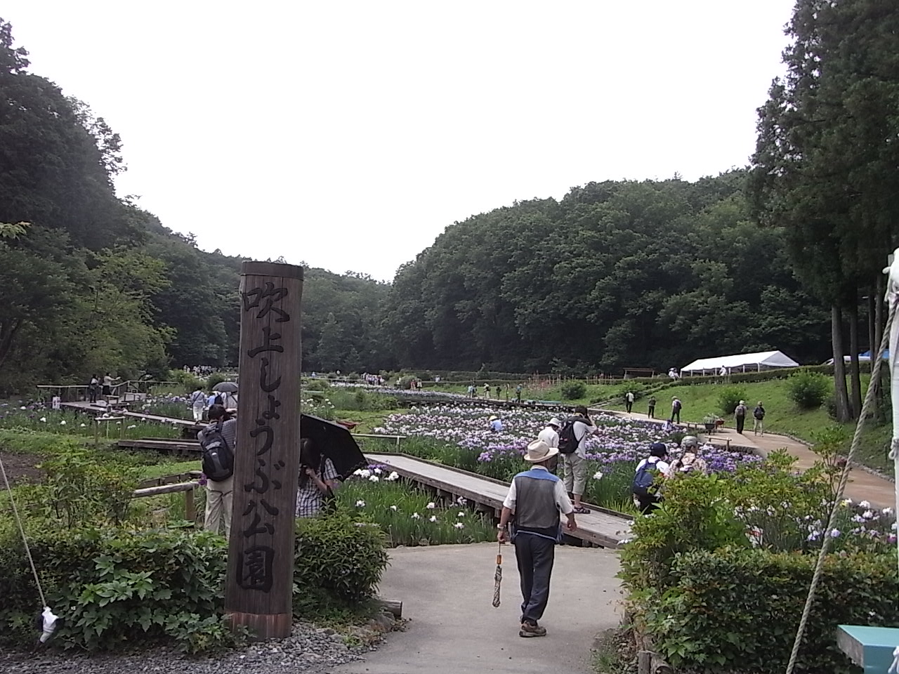 疲れも吹き飛ぶ「吹上」だっ！ : 古流かたばみ会