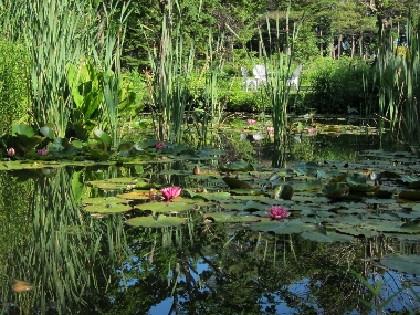 北海道ガーデン街道 4 : ファームヒュッテ日記