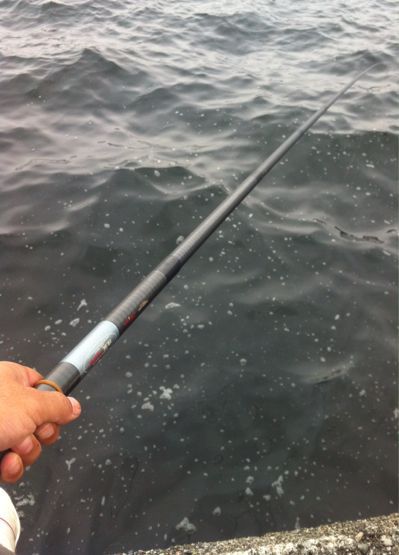 2014年7月20日 横須賀 電撃メジナ釣り⁉︎ : 東京湾奥釣り Level1