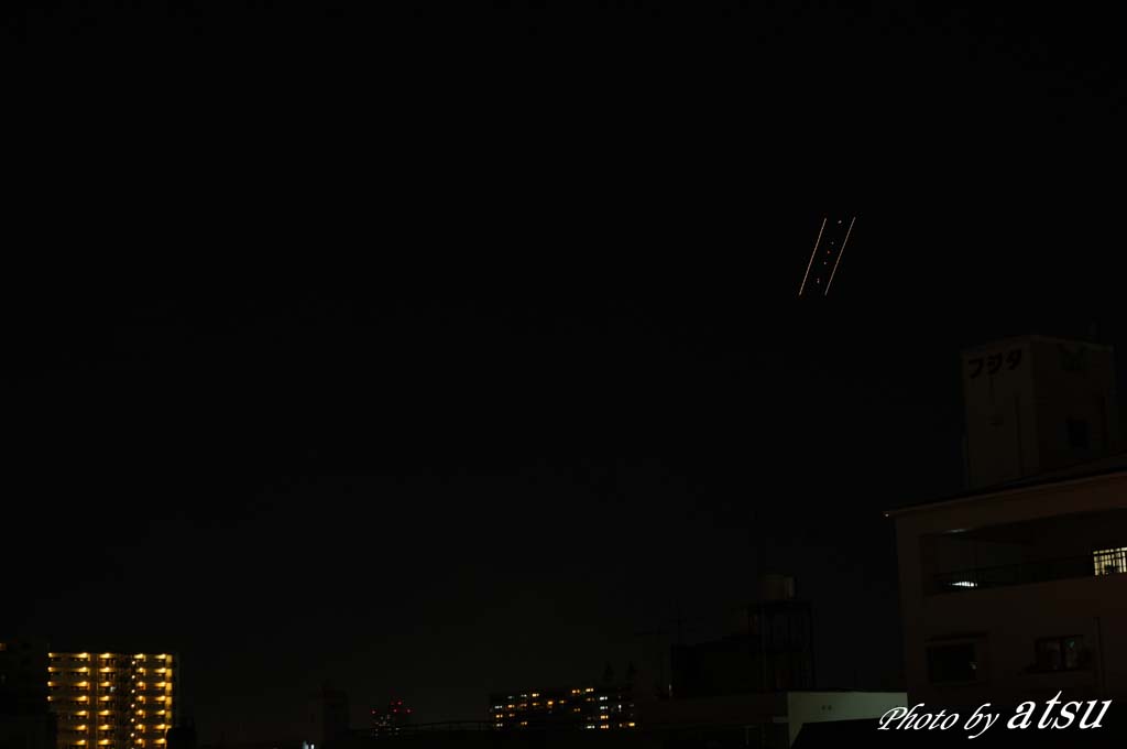 願いは叶った? : (新)トラちゃん&ちー・明日葉 観察日記