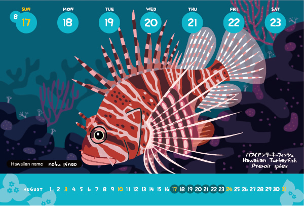 ハワイアンターキーフィッシュ : うおろぐ3