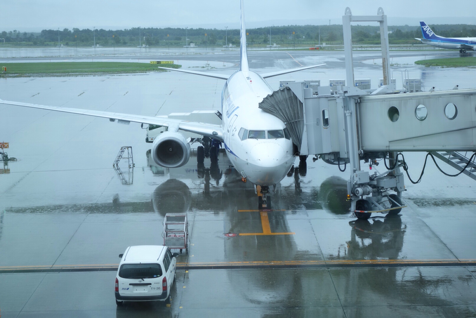 北海道は雨です : 思い立ったが吉日