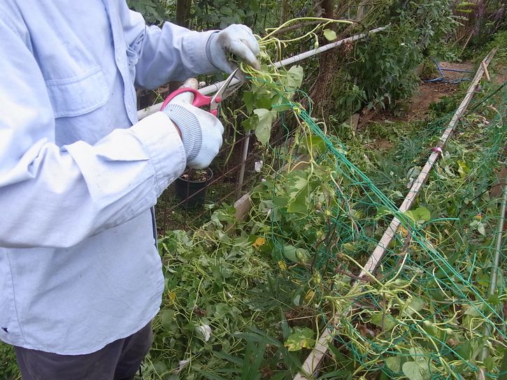 始動しました : 風と一緒に