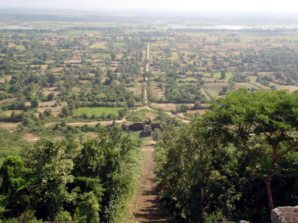 Entada parvifolia コバモダマの故郷と系統 : 石垣島便り