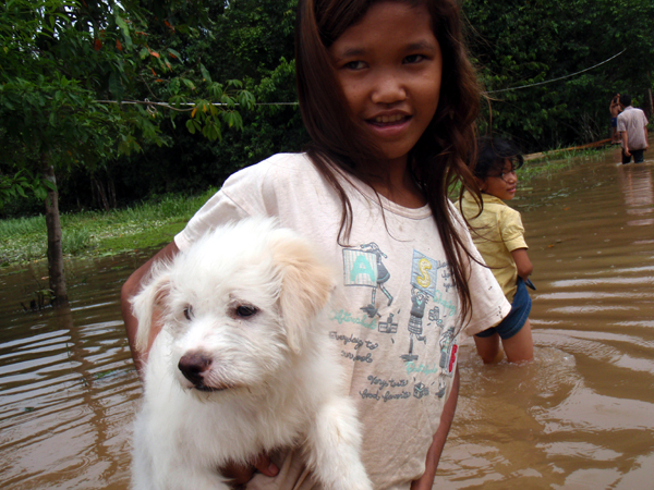 Entada parvifolia コバモダマの故郷と系統 : 石垣島便り
