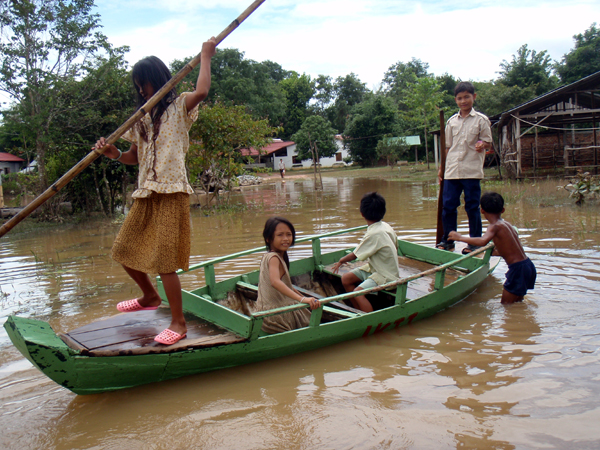 Entada parvifolia コバモダマの故郷と系統 : 石垣島便り