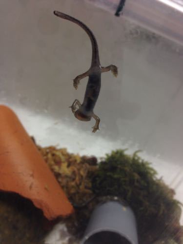 冷蔵庫の中でも : blog maiji