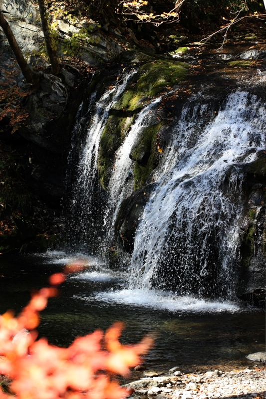 10月の群馬吾妻 : 還暦からのネイチャーフォト