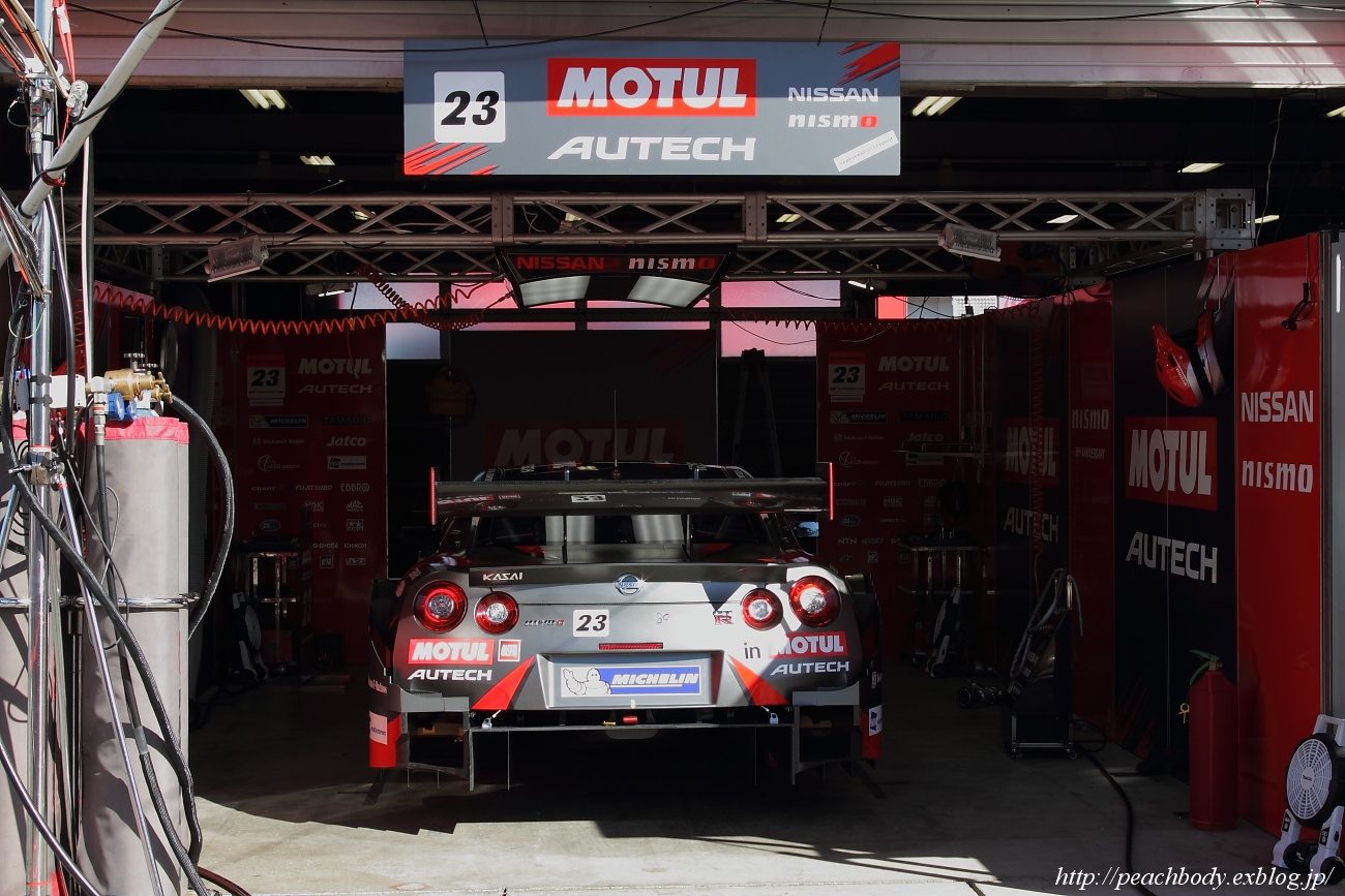 #23 NISMO_MOTUL AUTECH GT-R（GT500） : Peach Body