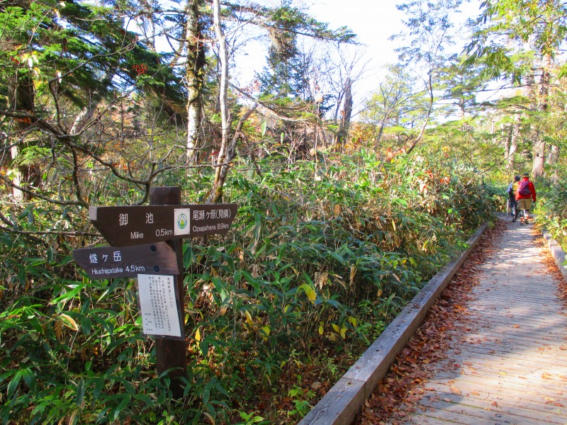 尾瀬 やっと登れた燧ケ岳 Hiuchigatake in Oze National Park : やっぱり自然が好き