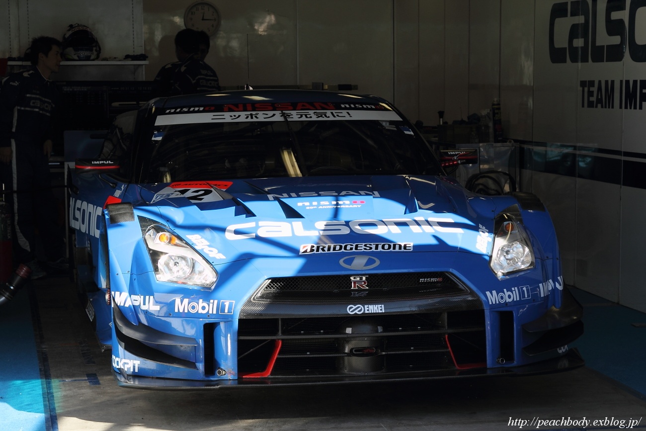 #12 TEAM IMPUL_カルソニックIMPUL GT-R（GT500） : Peach Body