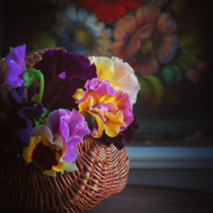 Pansy, Moulin Rouge : salvage antiques