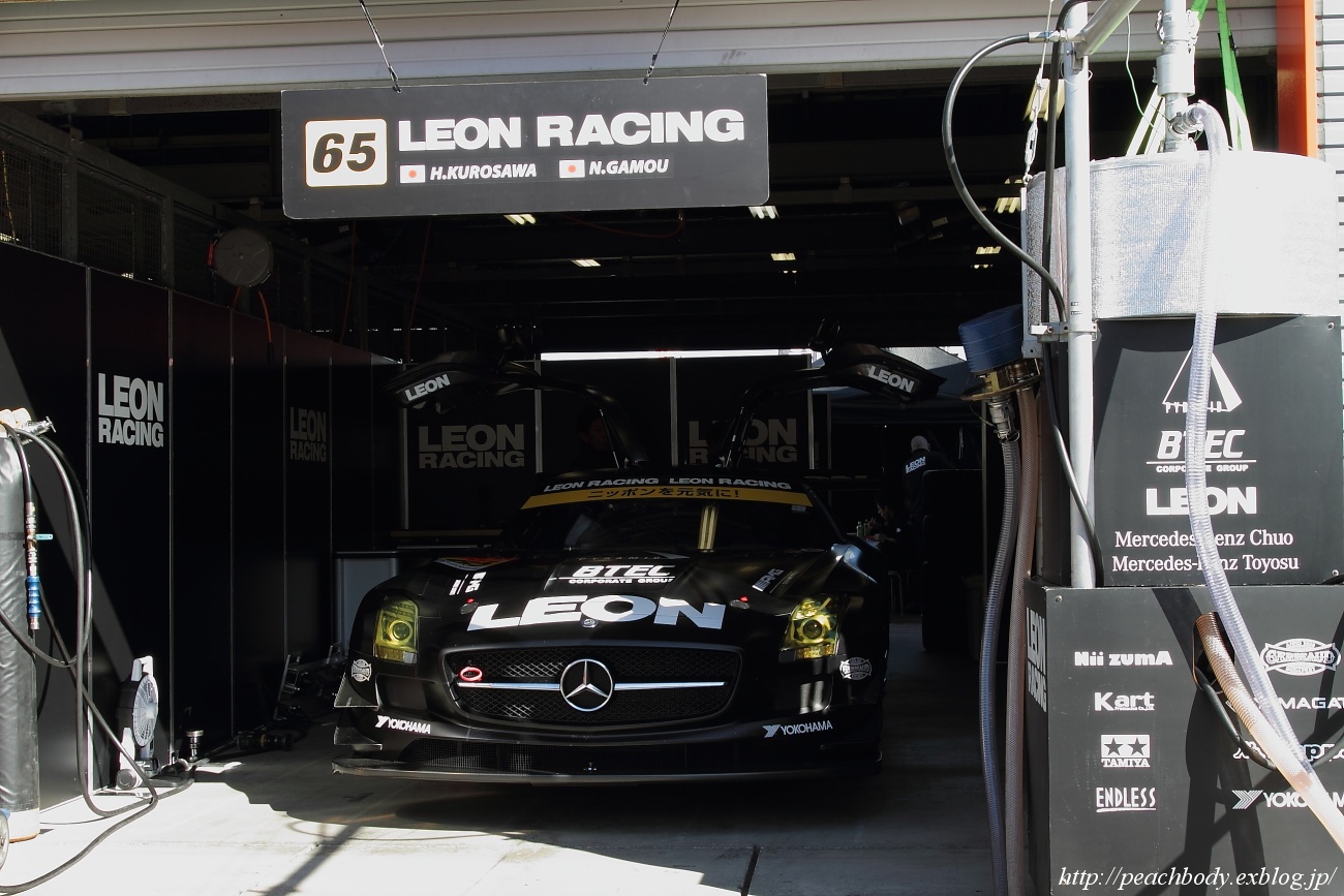 #65 LEON RACING_LEON SLS（GT300） : Peach Body