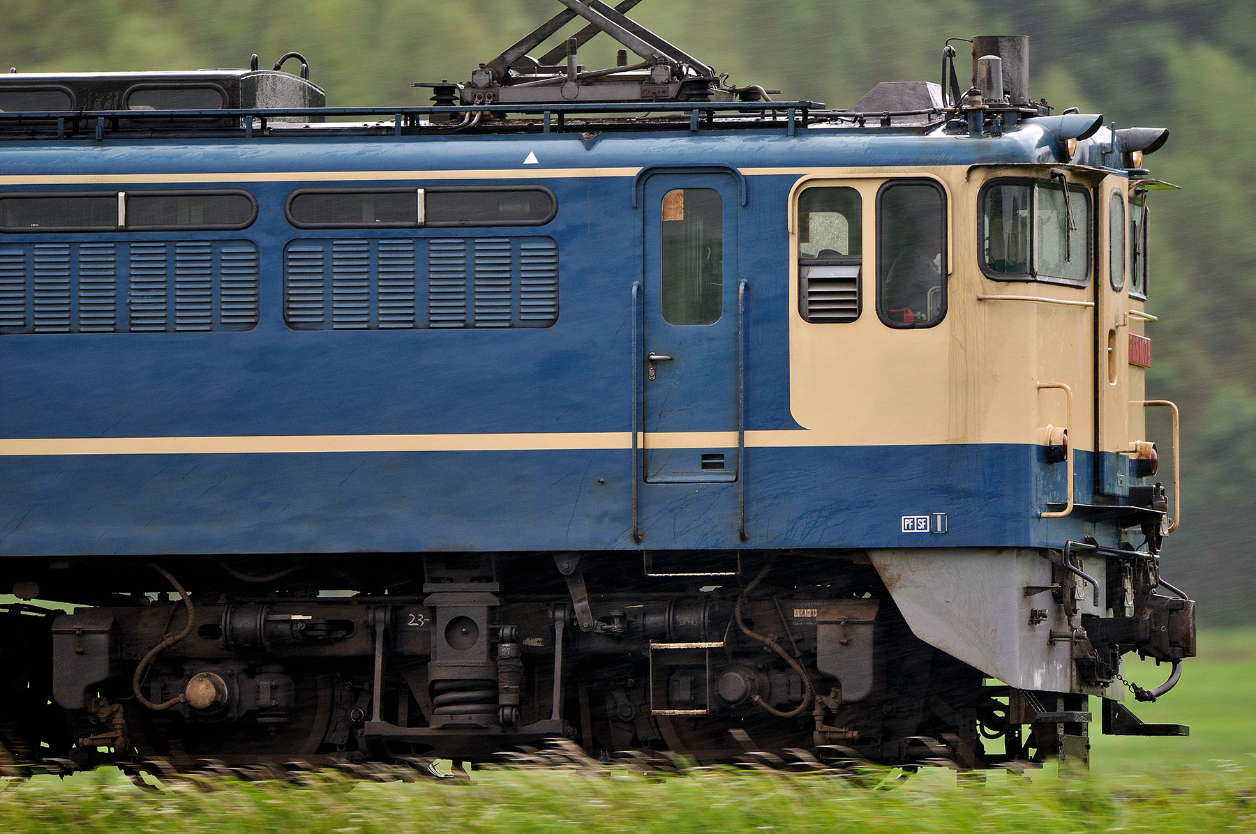 JR貨物 EF65 1079 : SKY LOUNGE GARDEN -transporter side-