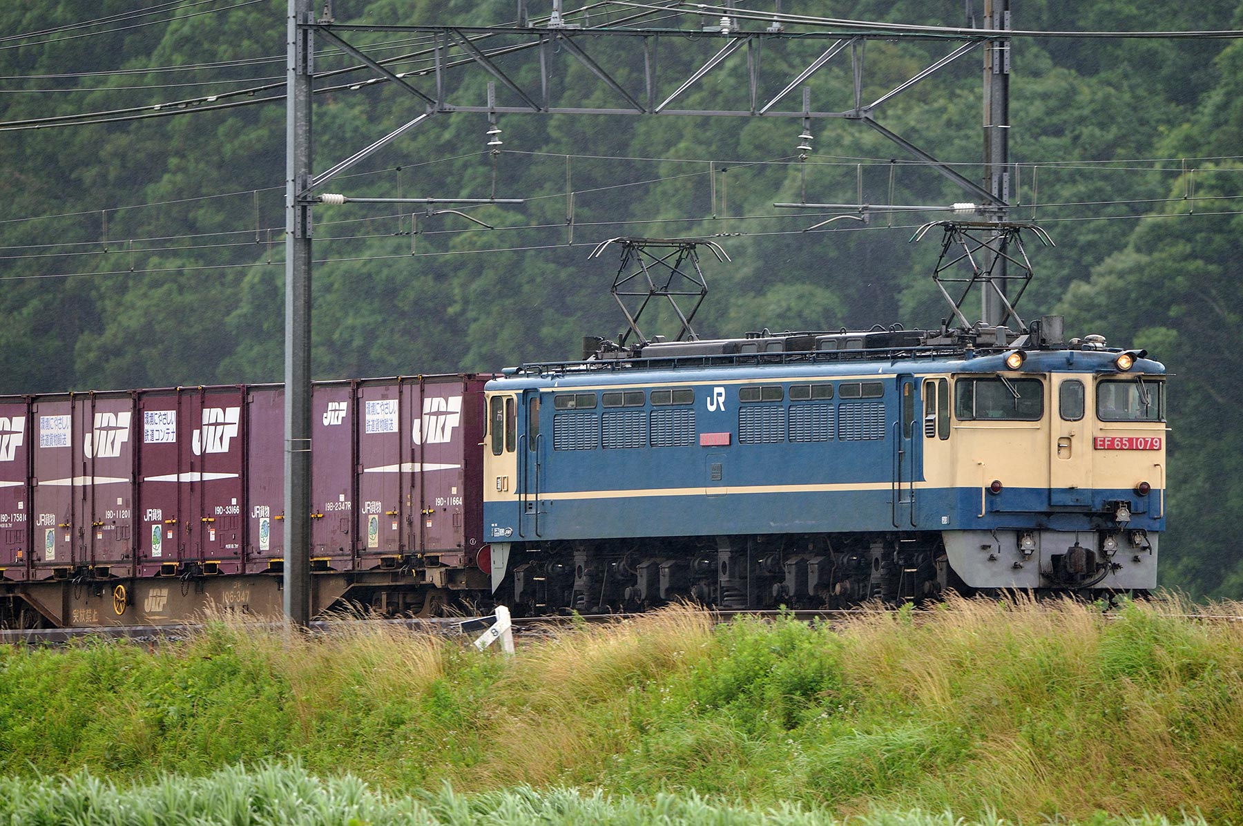 JR貨物 EF65 1079 : SKY LOUNGE GARDEN -transporter side-