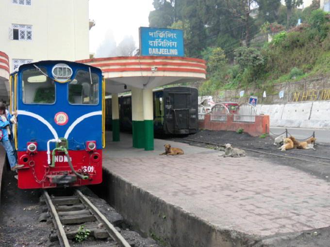 不良がたむろするダージリン駅～グーム駅のトイトレインの旅 : 絵手紙グッドタイミング