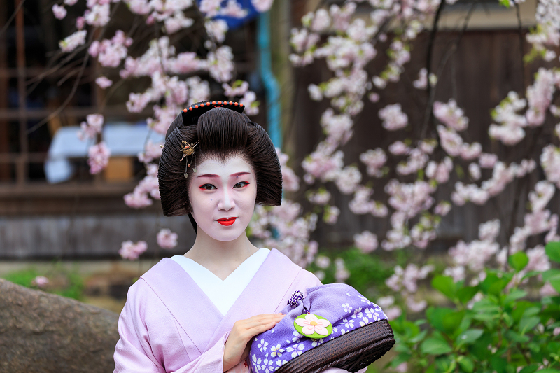祇園東・つね桃さん、駒子さん（祇園白川にて） : 花景色－K.W.C. PhotoBlog