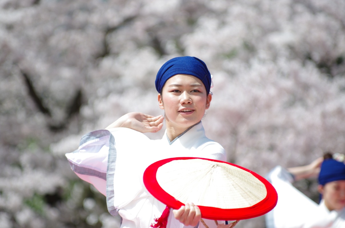 京都さくらよさこい2015一日目その10（産土～うぶすな～その2） : ヒロパンのよさこいライク・N-VANライフ