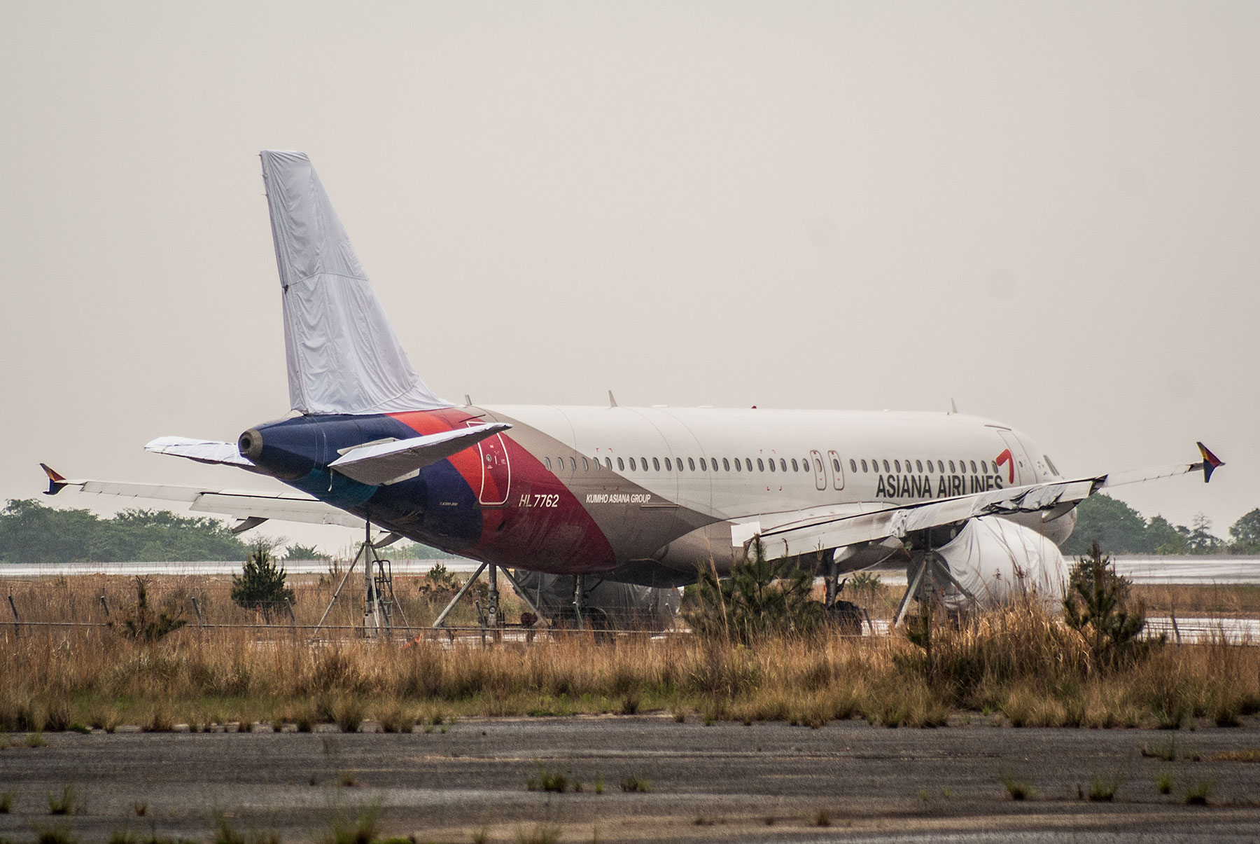 AIRBUS A320 / HL7762 : SKY LOUNGE GARDEN -transporter side-