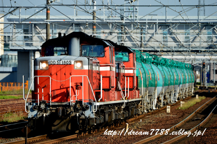 DD51原色重連再び : HIROのフォトアルバム