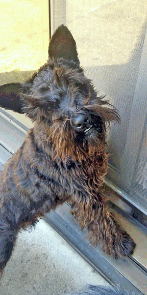 梅雨ですね。(-_-) : zubora日記